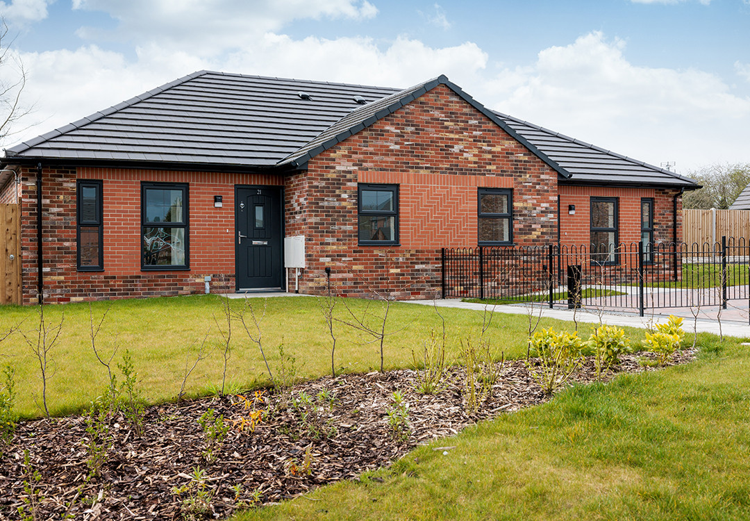 Torus - Higher Heyes